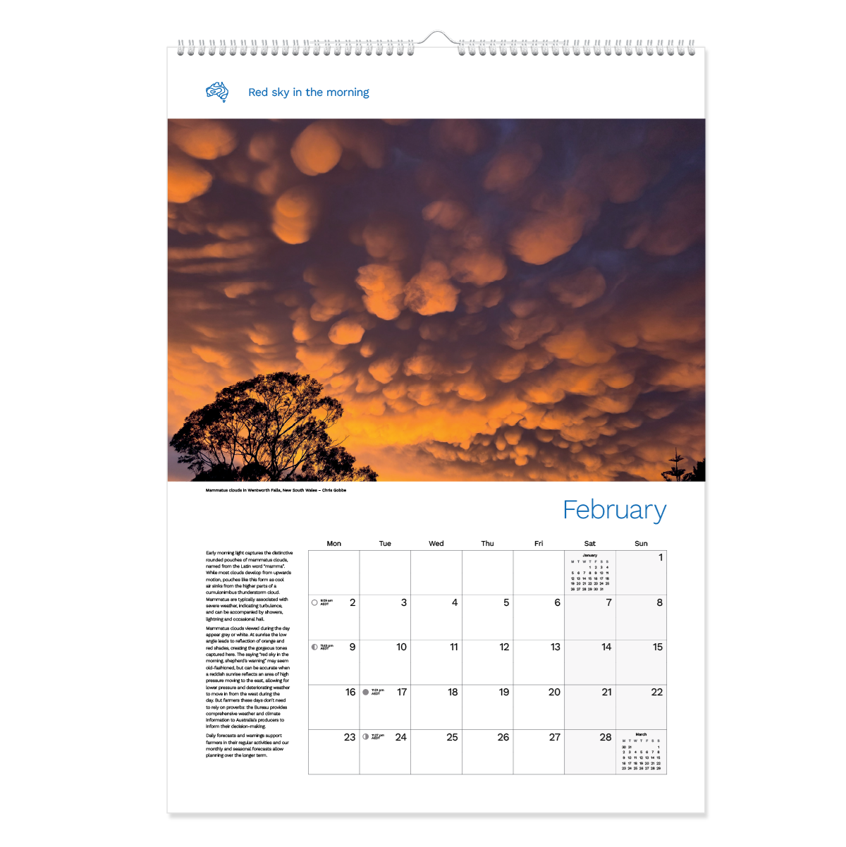 shop.bom.gov.au Australian Weather Calendar. Large tube